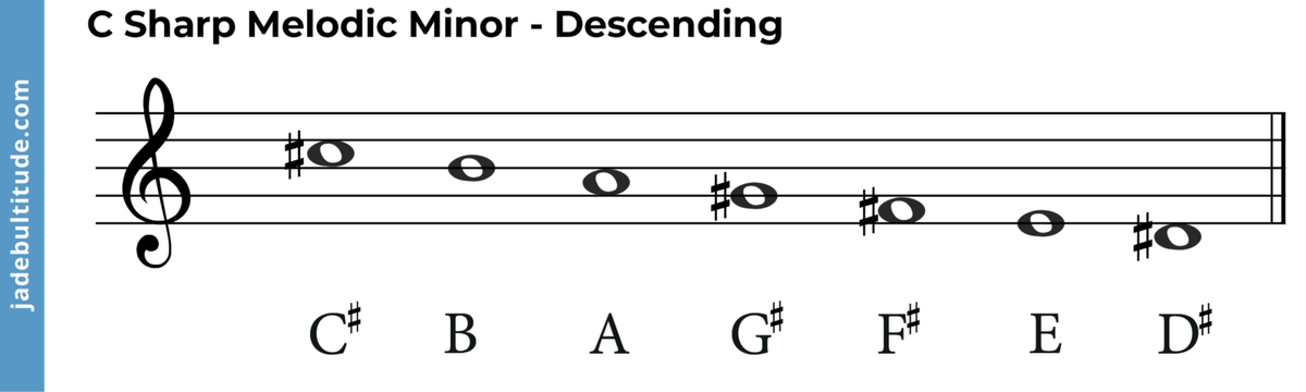 C Sharp Music Note: The Complete Guide To The Note and Key