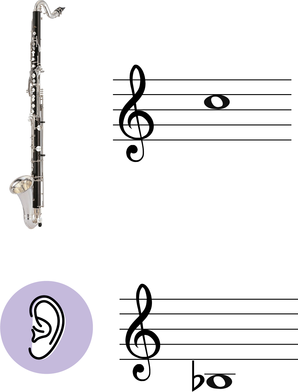 Transpose Bari Sax To Bass Clarinet A Music Theory Guide